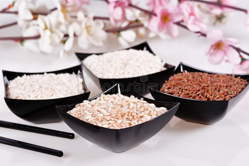 A Collection of Rice Varieties Stock Image - Image of rice, diversity ...