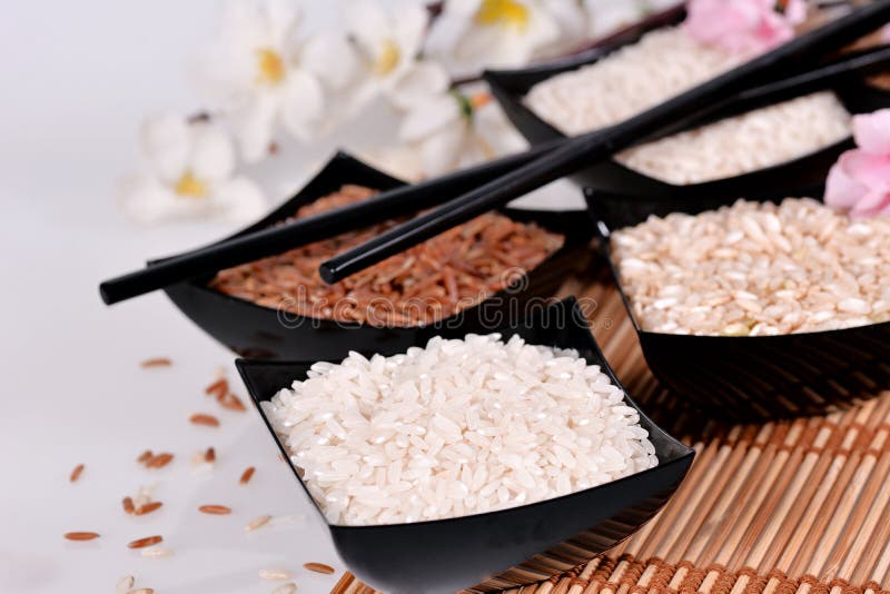 A Collection of Rice Varieties Stock Photo - Image of diversity ...