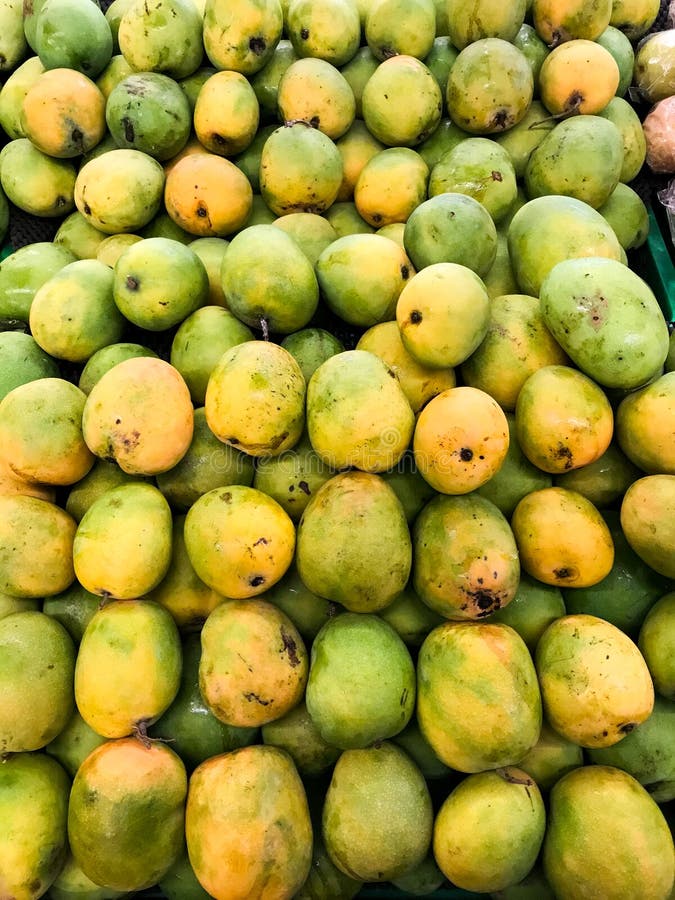 A Collection of Ripe Mangoes on Display at the Market Stock Image ...