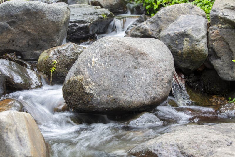 A Collection of River Stones of Various Sizes Standing in an Unspoiled ...