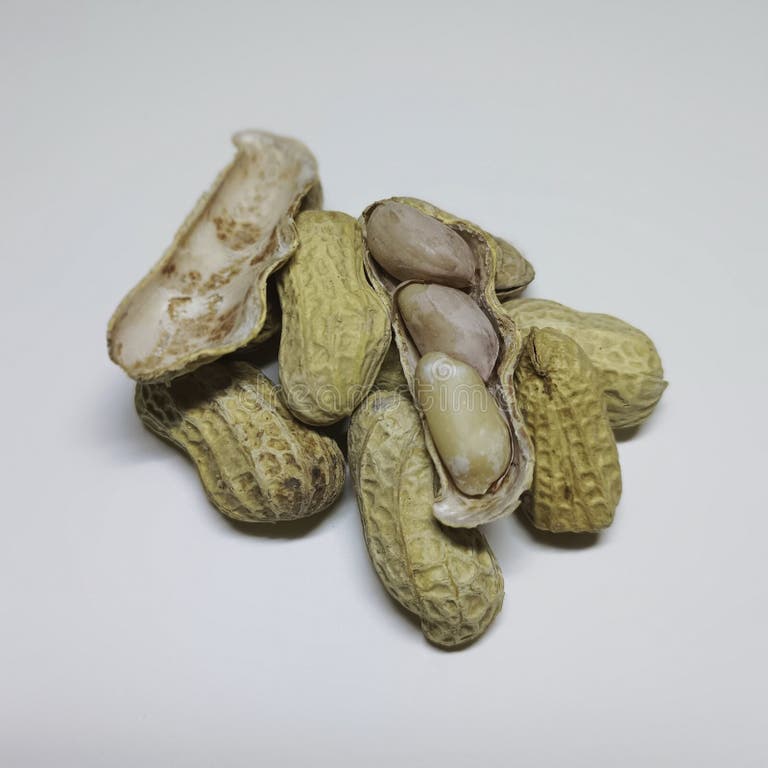 A Collection of Roasted Peanuts on Paper Stock Image - Image of roasted ...