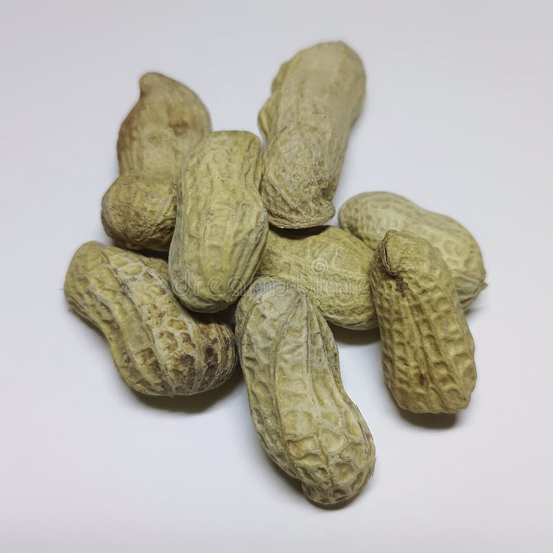 A Collection of Roasted Peanuts on Paper Stock Image - Image of peanuts ...