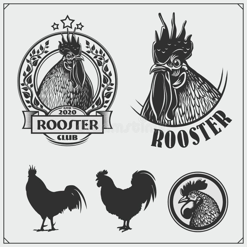 Collection of Rooster Labels, Badges, Emblems and Design Elements ...