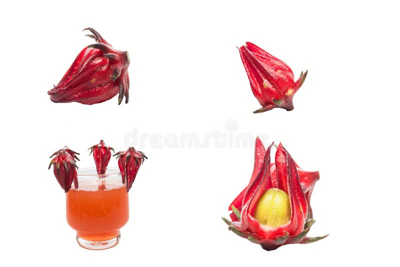 Collection of Roselle Images Stock Image - Image of herbal, hibiscus ...