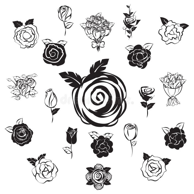 Collection of Roses. Vector Illustration Decorative Background Design ...