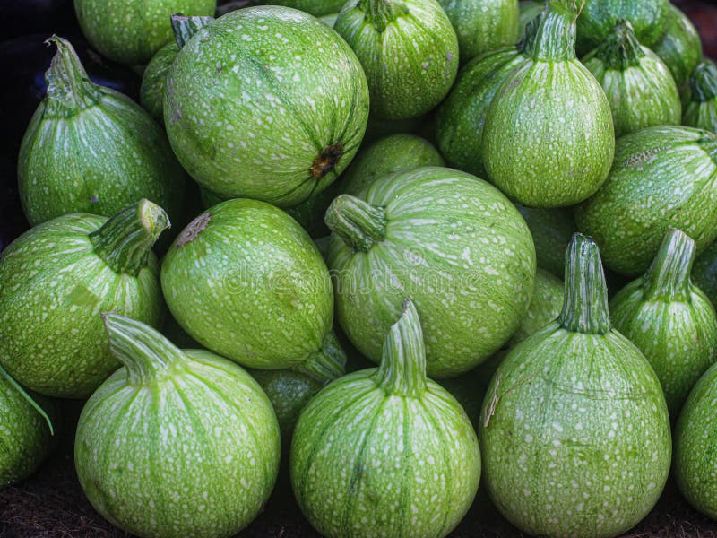 A Collection of Round Squash with a Light Green Hue and White Speckled ...