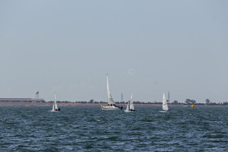 Collection of Sailboats Sailing on the Open Ocean Editorial Photo ...