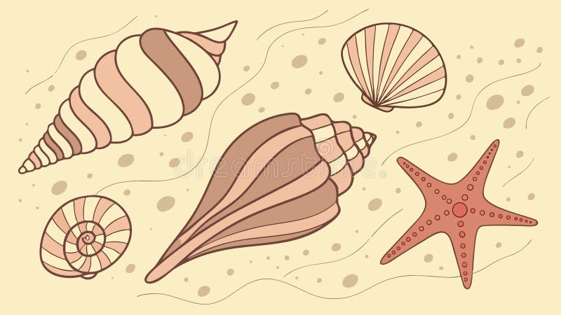 Collection of Sea Shells, Beach and Ocean Decor Vector, Vector Design ...