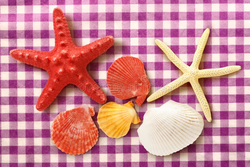 Collection of Sea Shells and Stars Stock Photo - Image of abstract ...
