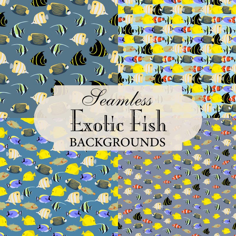 Collection of Seamless Backgrounds on the Topic of Exotic Fish Stock ...