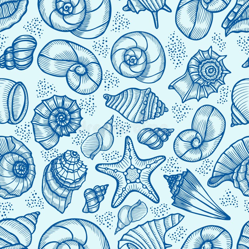 Collection of Seashells Drawn Stock Vector - Illustration of mollusk ...