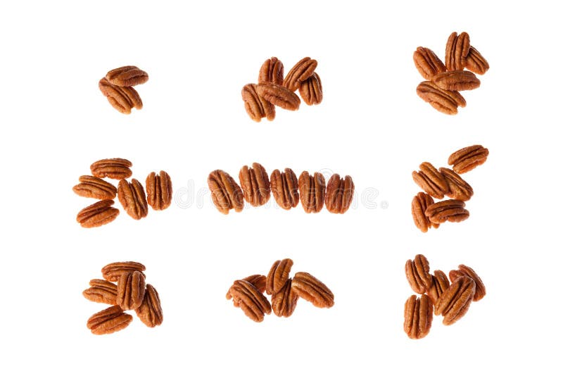 Collection Set of Pecan Isolated on White Background Stock Photo ...