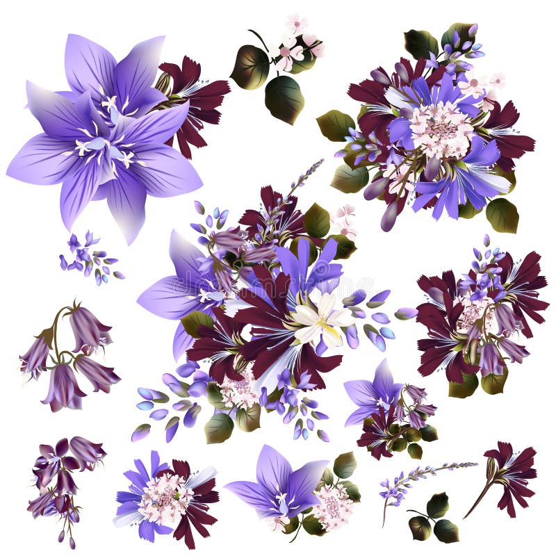 Collection or Set of Realistic Vector Field Flowers for Design Stock ...