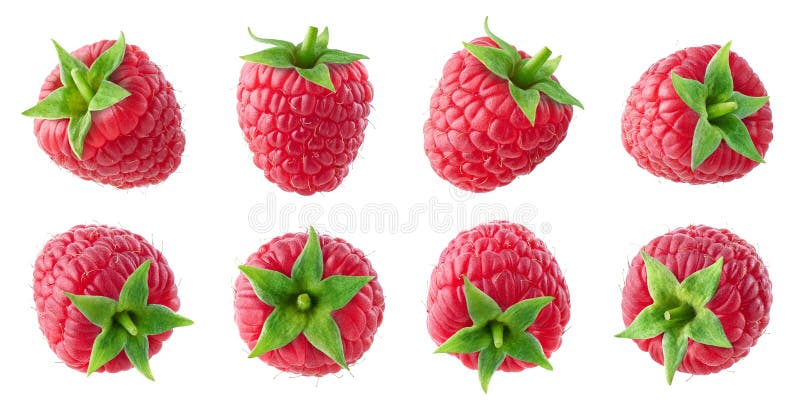 Collection or Set of Various Fresh Ripe Raspberries on White Background ...