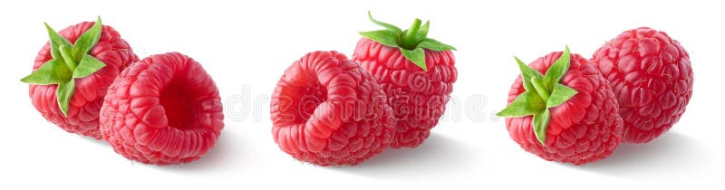 Collection or Set of Various Fresh Ripe Raspberries on White Background ...