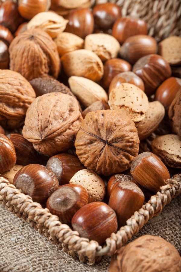 Collection of Shelled Nuts and Nutcracker. Stock Photo - Image of ...