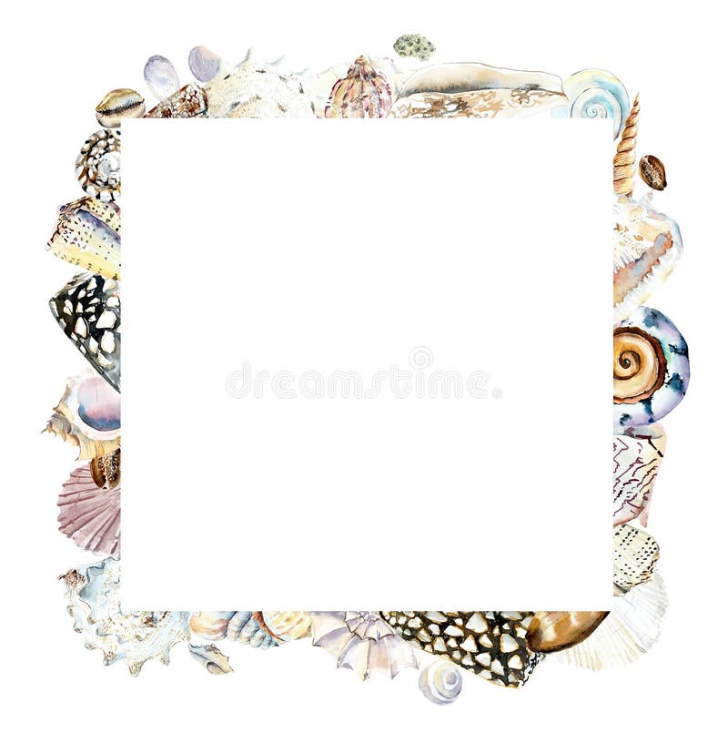 Frame from Seashells. Watercolor Hand Drawn Illustration Stock ...