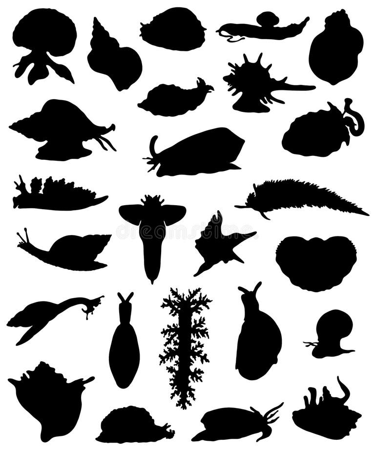 Invertebrates Stock Illustrations – 7,374 Invertebrates Stock ...