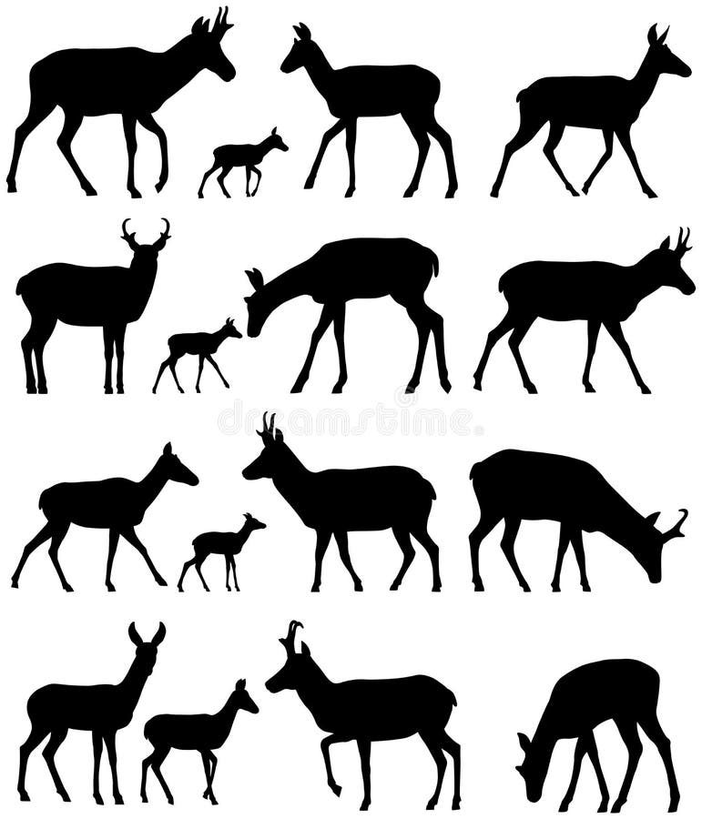 Pronghorn Antelope Stock Illustrations – 129 Pronghorn Antelope Stock ...