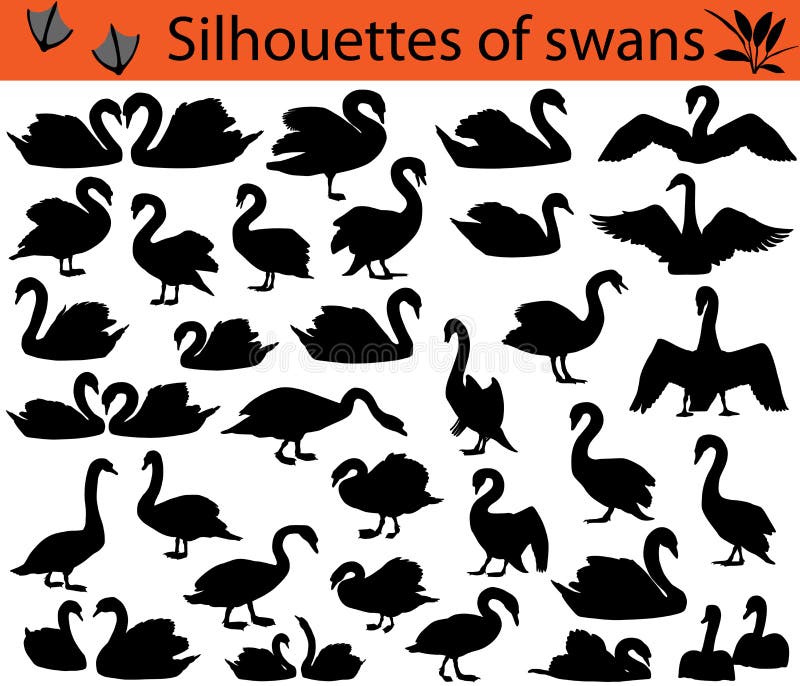 Flock Swans Stock Illustrations – 75 Flock Swans Stock Illustrations ...