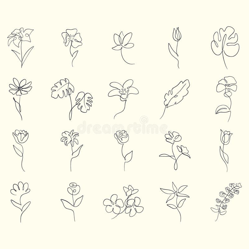 Collection of Single-line Floral Illustrations Stock Illustration ...