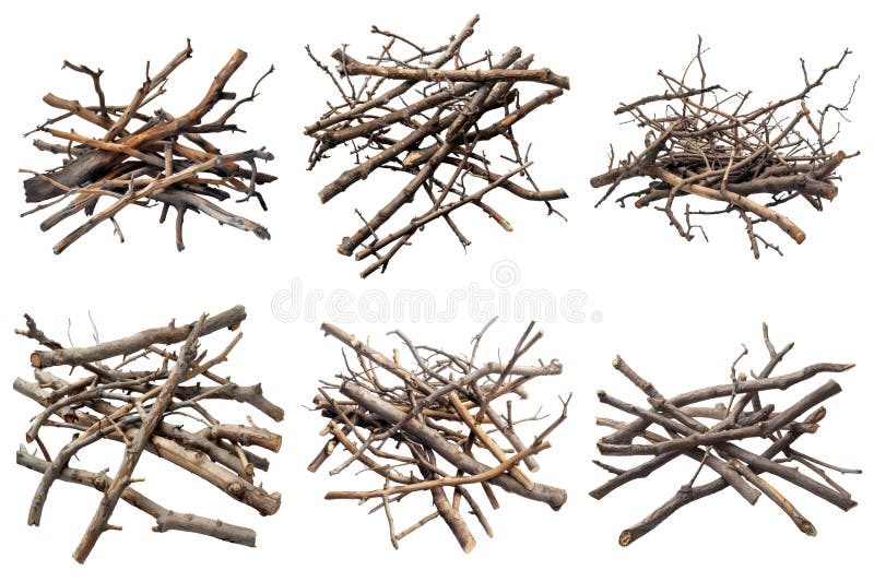 A Collection of Six Different Arrangements of Wooden Branches Stock ...