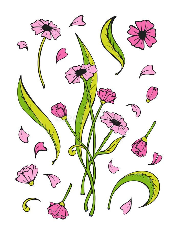 Collection Object of Flowers Leaves Bright Sketch Stock Vector ...