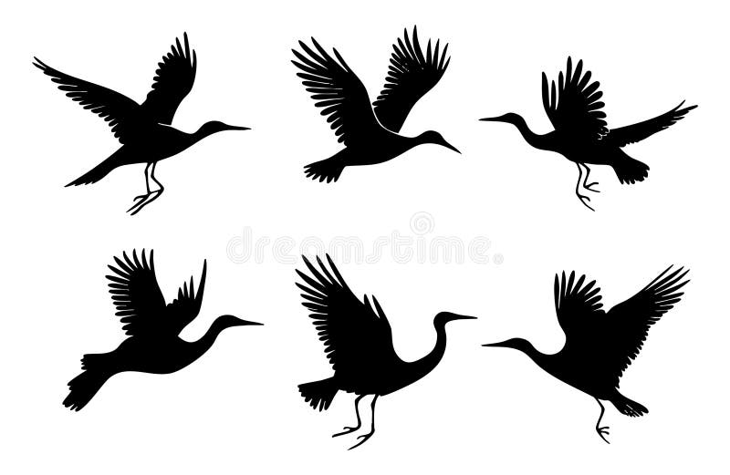 A Collection of Six Stylized Silhouettes of Flying Birds, Showcasing ...