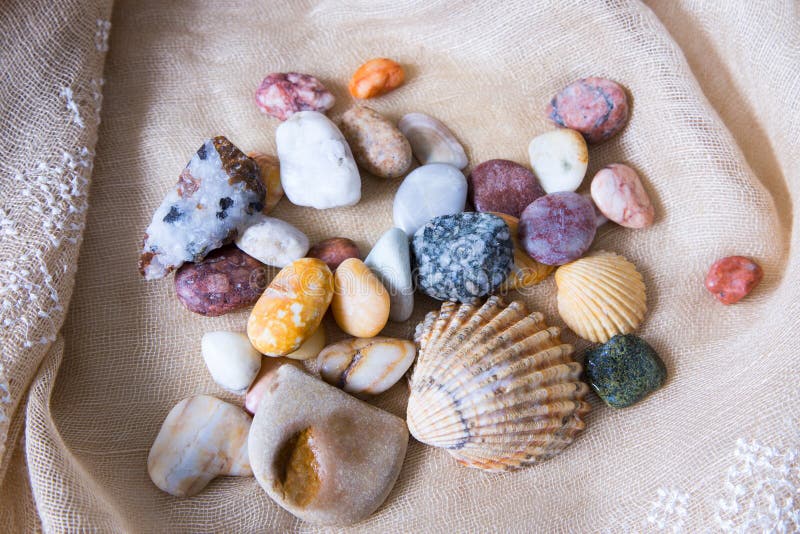 Collection of Small Rocks and Shells in Different Colours and Shapes ...