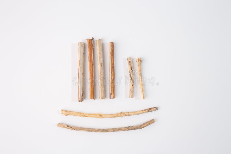 Collection of Small Sticks As Crafting Materials on White Surface. DIY ...