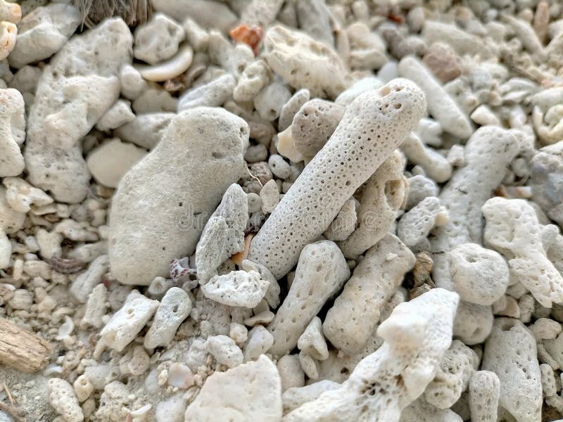 A Collection of Small White Rocks on the Edge of the Beach Stock Image ...