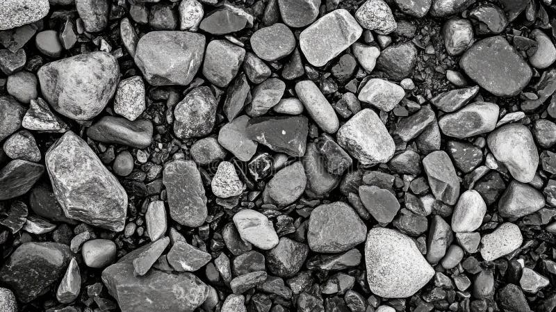 A Collection of Smooth Gray River Rocks Stock Illustration ...