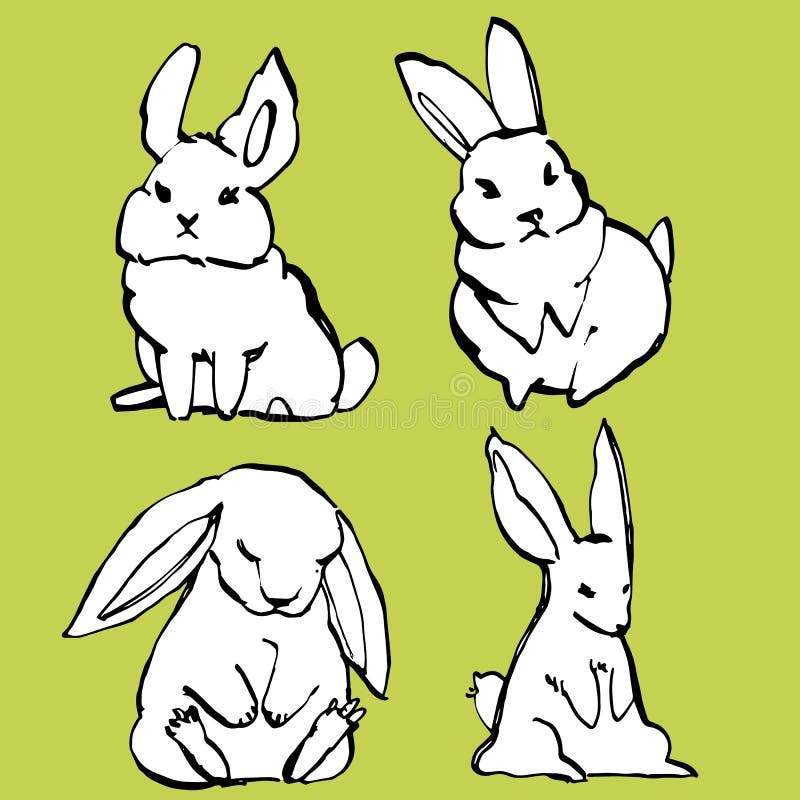 Collection of Some Cute Rabbits, Hand Draw Illustration. Draw ...