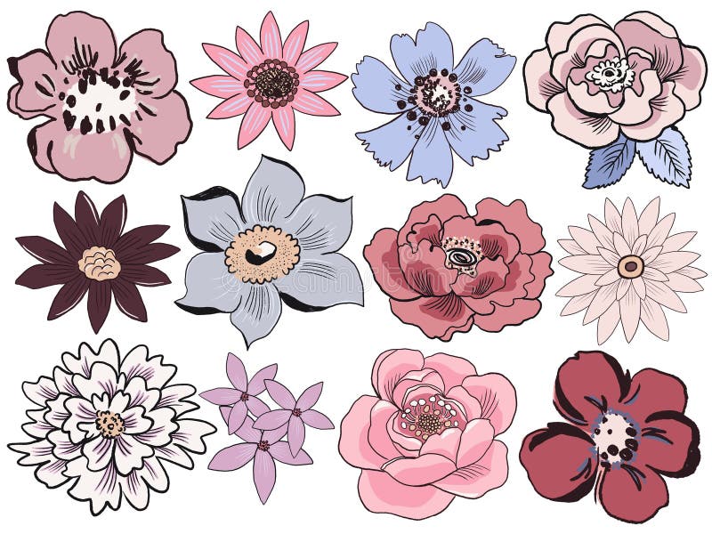 Collection of Spring Flower Elements Meadow Field Wildflower, Leaf Branch Stock Illustration ...