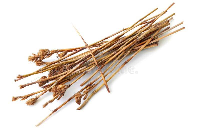 A Collection of Sticks Arranged on a Clean White Surface, Useful for ...