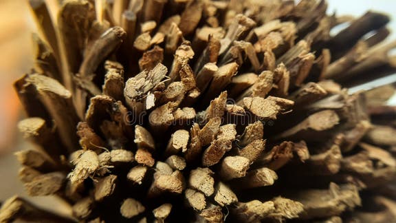 A Collection of Sticks that Have Become Broom Sticks Stock Image ...