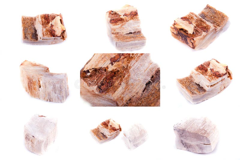 Collection of Stone Mineral Petrified Wood Stock Photo - Image of ...