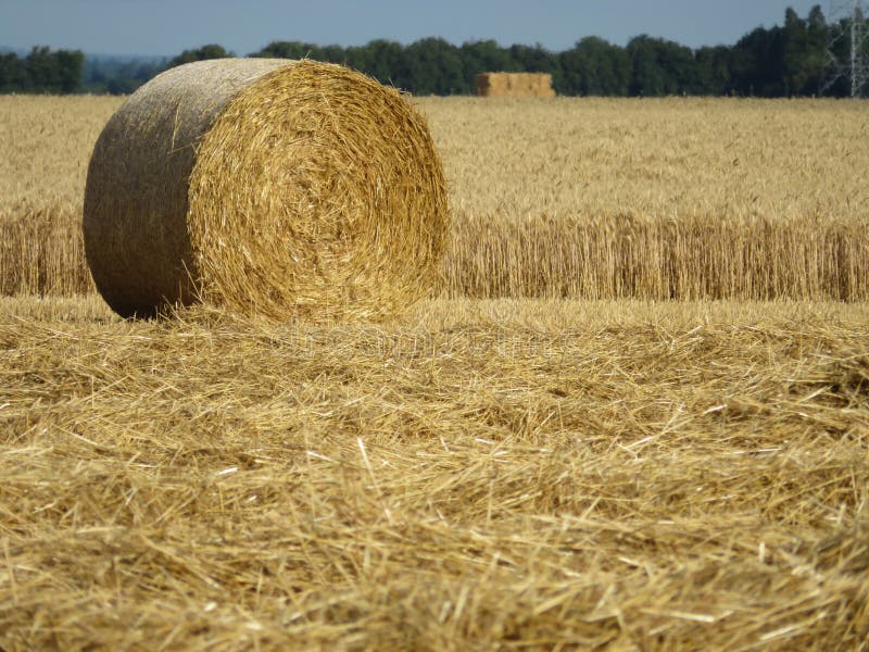 Collection of Straw Round Bale Animal Feed Storage Stock Photo - Image ...