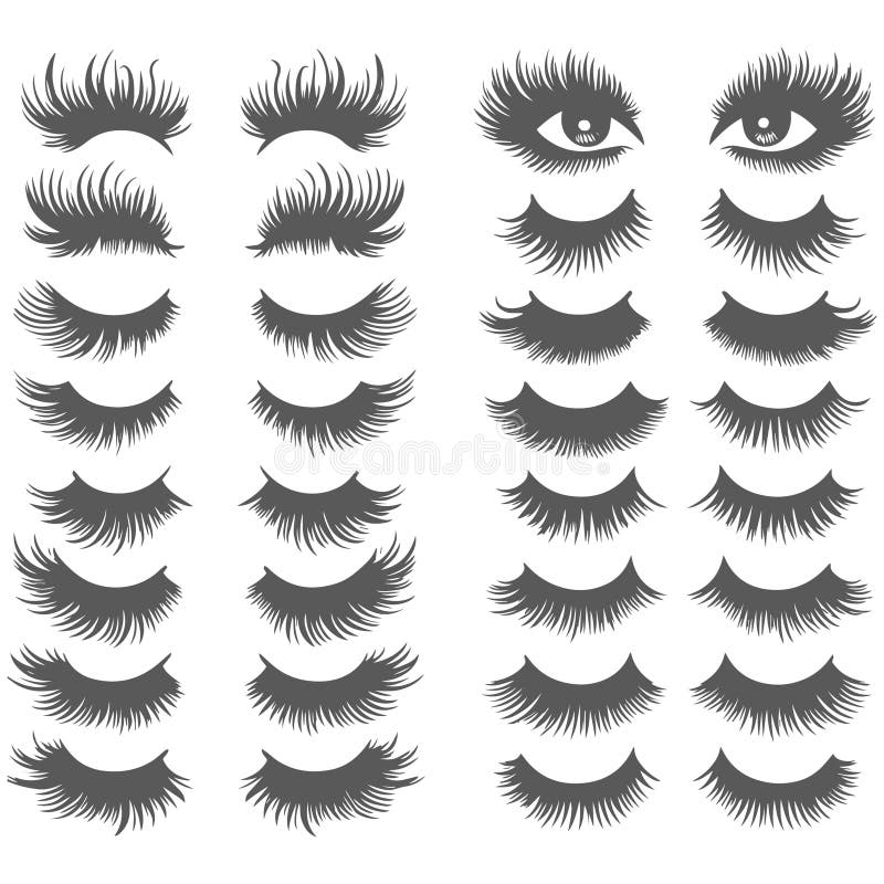 Collection of Stylish Eyelashes in Different Designs Stock Illustration ...