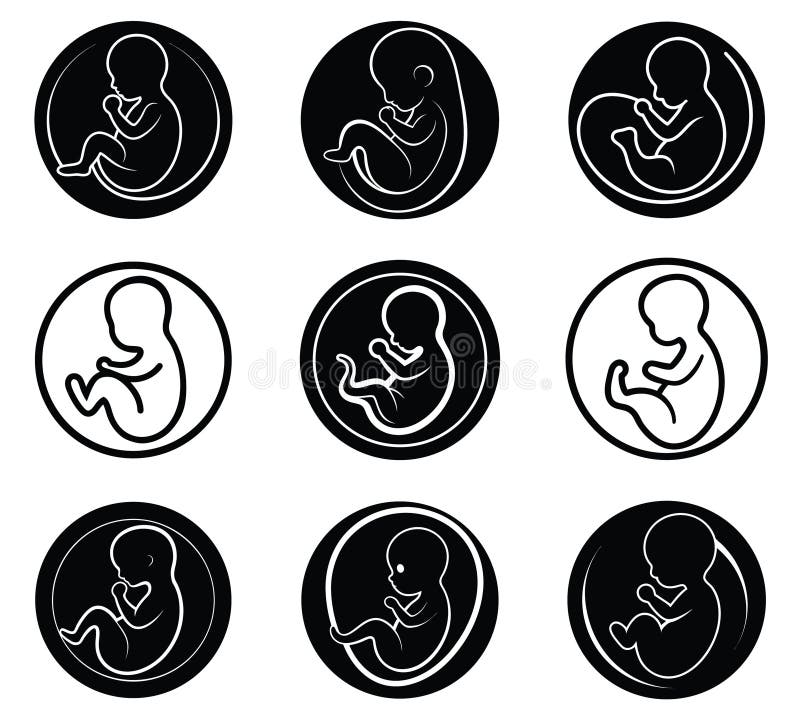 Collection of Stylized Black and White Embryo Illustrations in a Circle ...