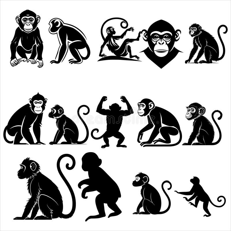 Various Monkey Species Stock Illustrations – 253 Various Monkey Species Stock Illustrations ...