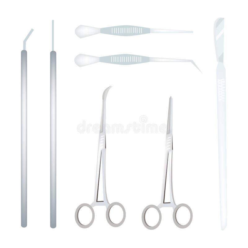 Collection of Surgical Instruments on White Background Stock Vector ...