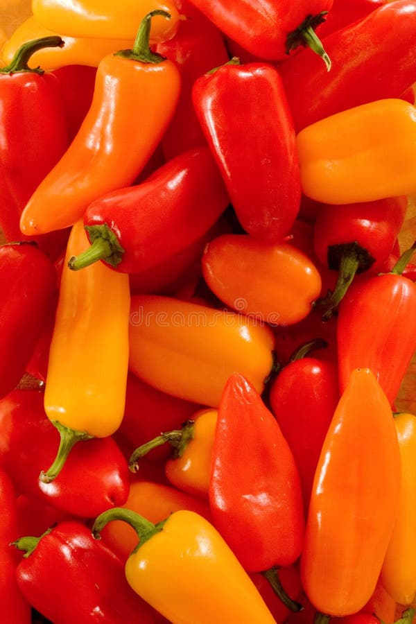 A Collection of Sweet Peppers 4 Stock Image - Image of good, food: 493607