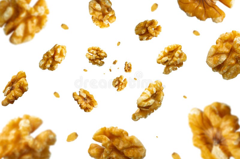 Collection of Tasty Crispy Walnut Falling Isolated on White Background ...