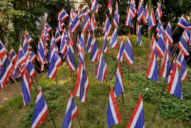 A Collection of Thai Flags on a Grass Mound. Stock Image - Image of ...