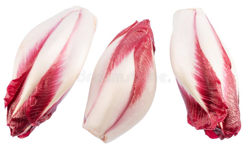 Collection of Three Red Endive Heads on White Background. File Contains ...