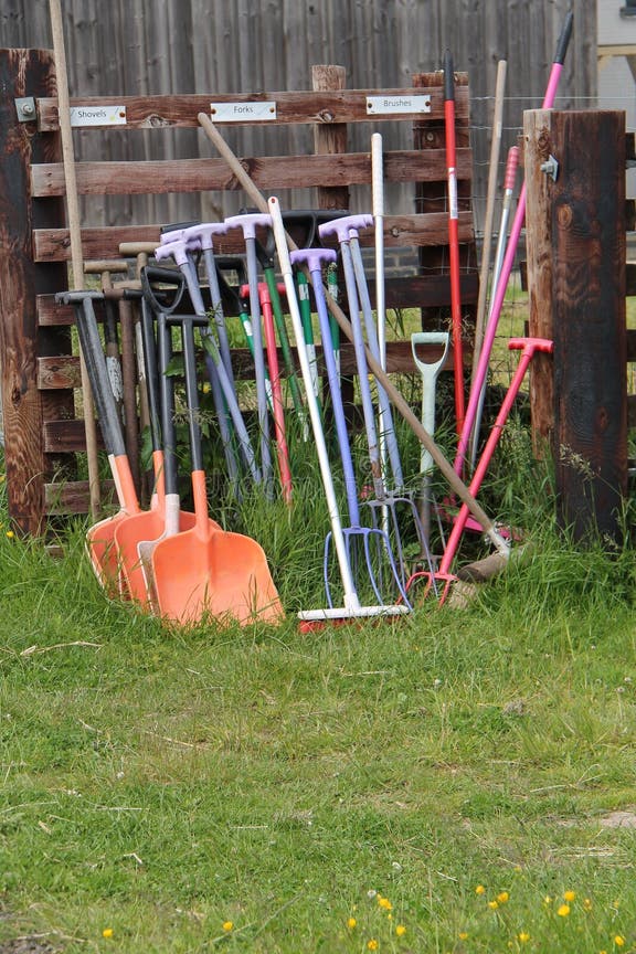 Collection of Tools. stock photo. Image of cleaning - 366019808