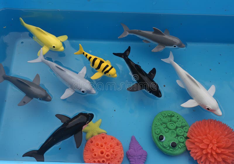 Collection of Toy Dolphins and Sea Creatures in a Blue Container Stock ...