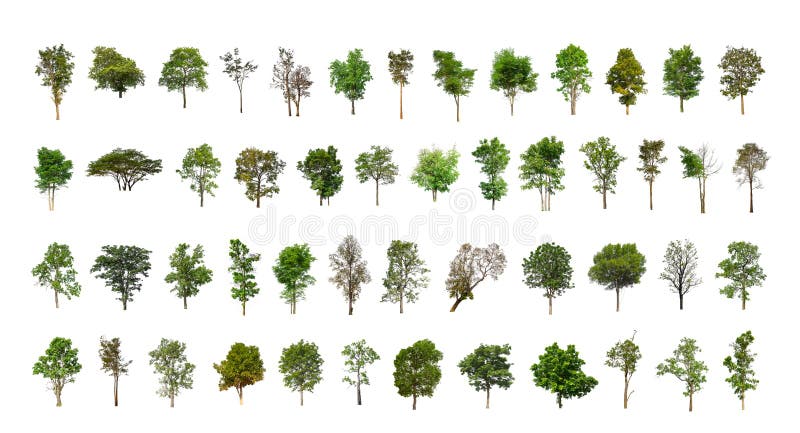 Collection Trees Cut Out from Original Background Stock Image - Image ...