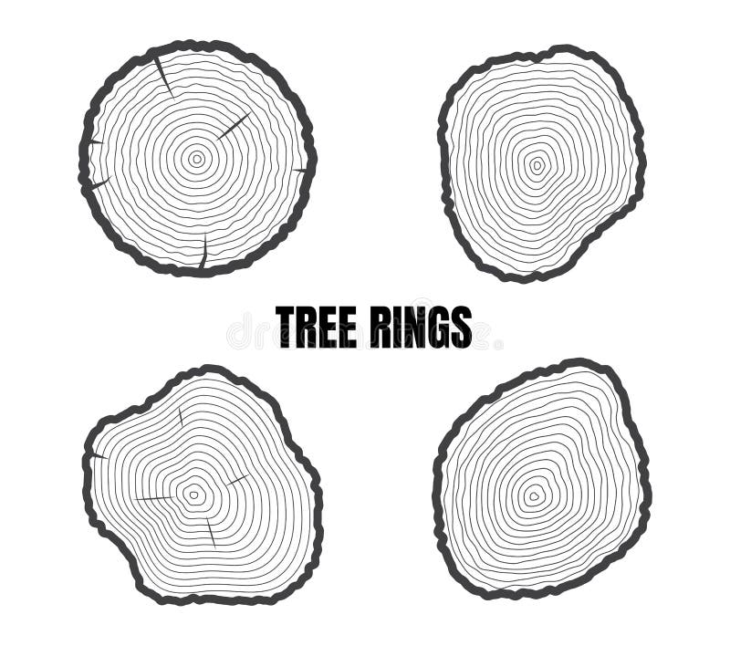 Vector Conceptual Background Tree Rings Stock Illustrations – 451 ...